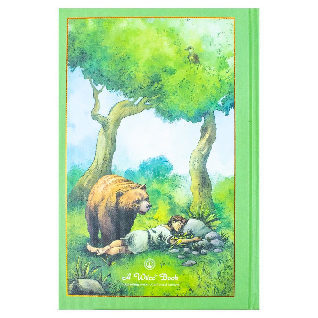 Aesops Fables Leatherbound – Lowplex Books
