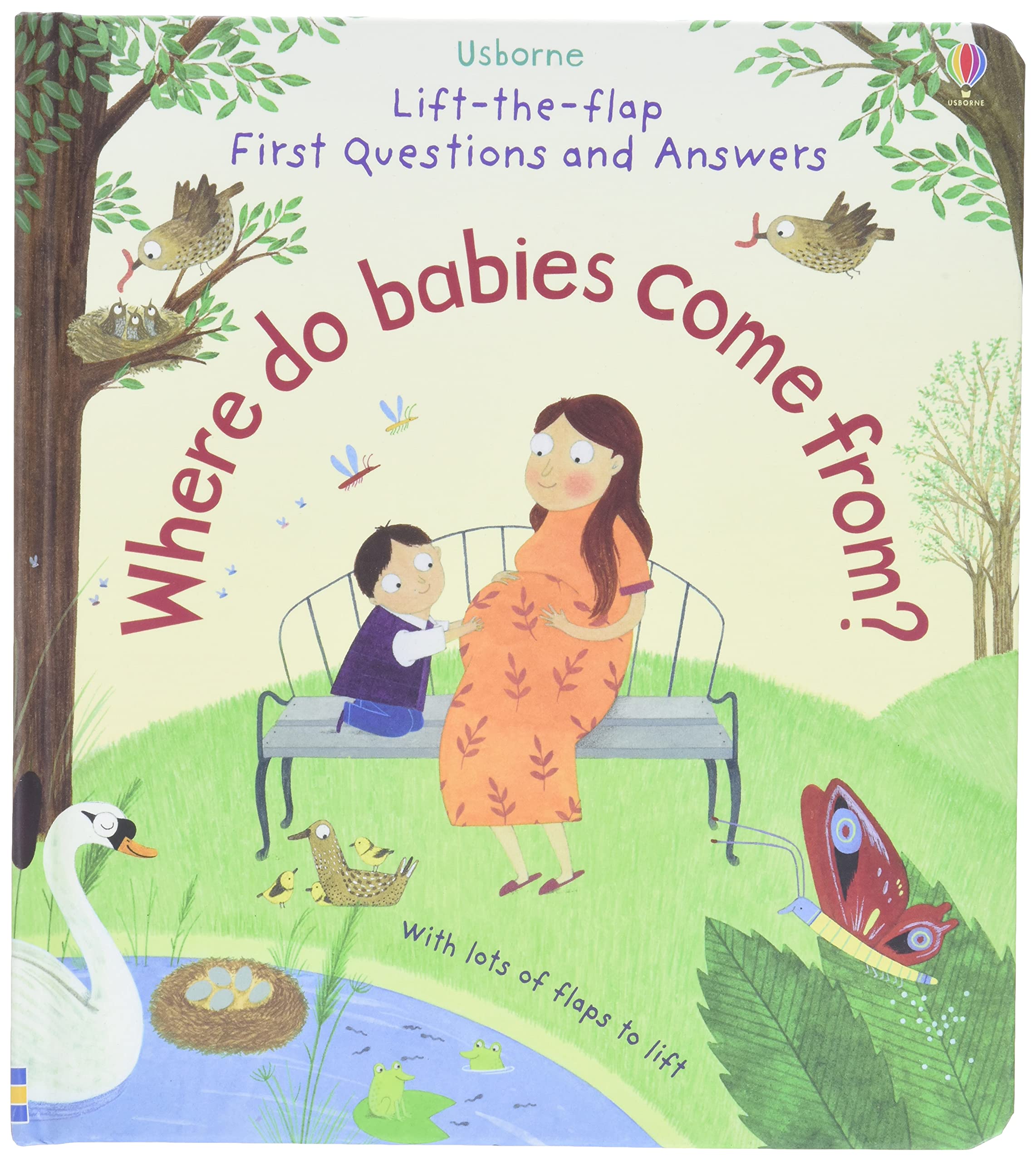 Where Do Babies Come From? | Lift-the-Flap First Questions & Answers C ...