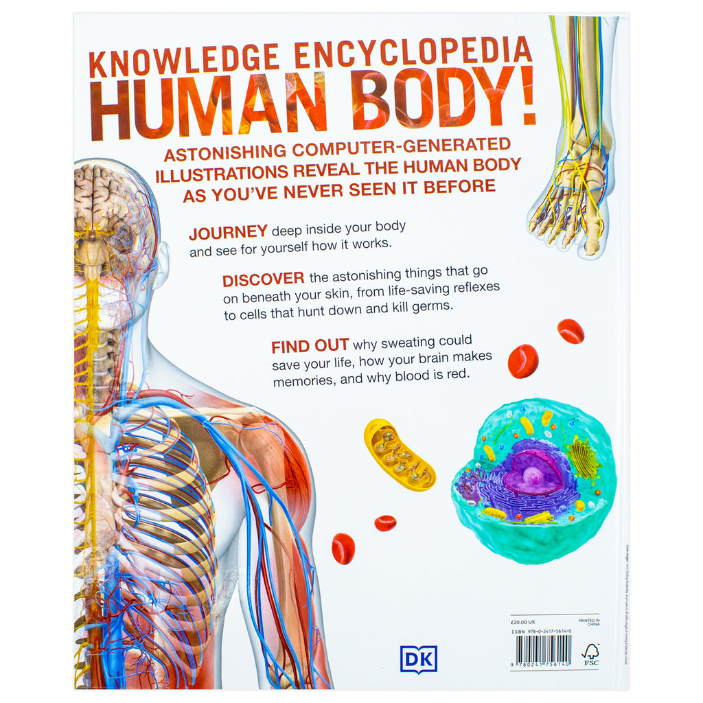 Knowledge Encyclopedia Human Body! (Knowledge Encyclopedias) – Lowplex ...