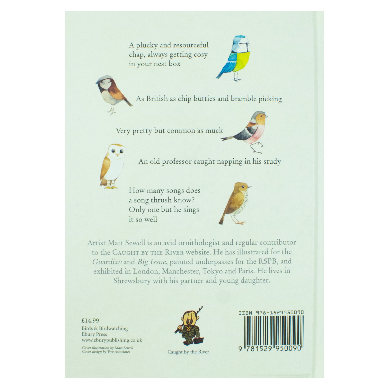 Our Garden Birds: a stunning illustrated guide to the birdlife of th ...