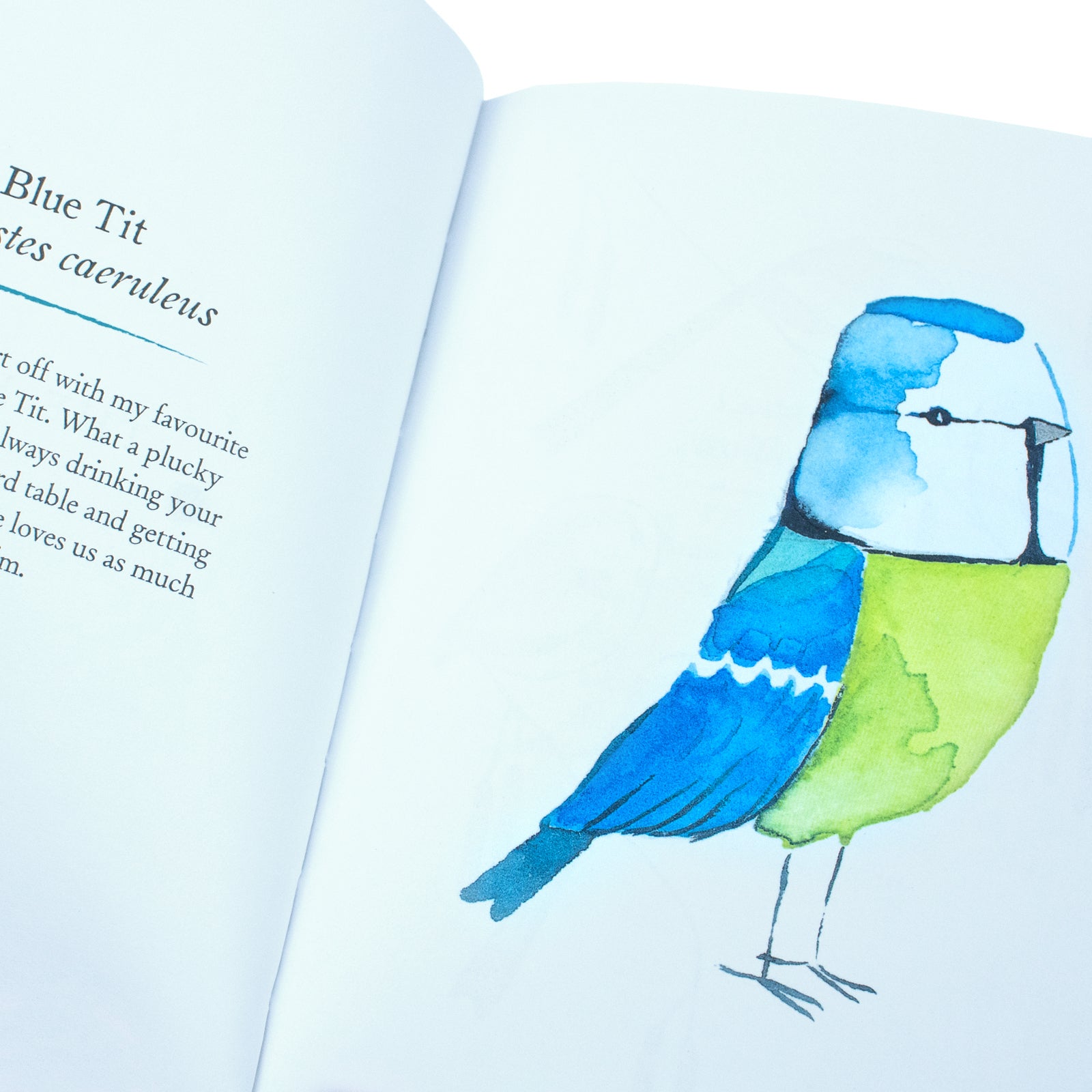 Our Garden Birds: a stunning illustrated guide to the birdlife of th ...