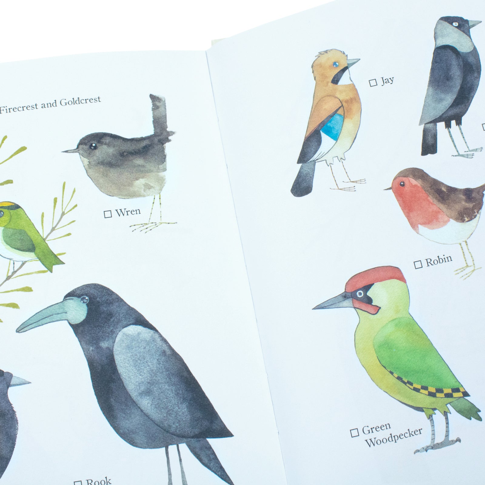 Our Garden Birds: a stunning illustrated guide to the birdlife of th ...