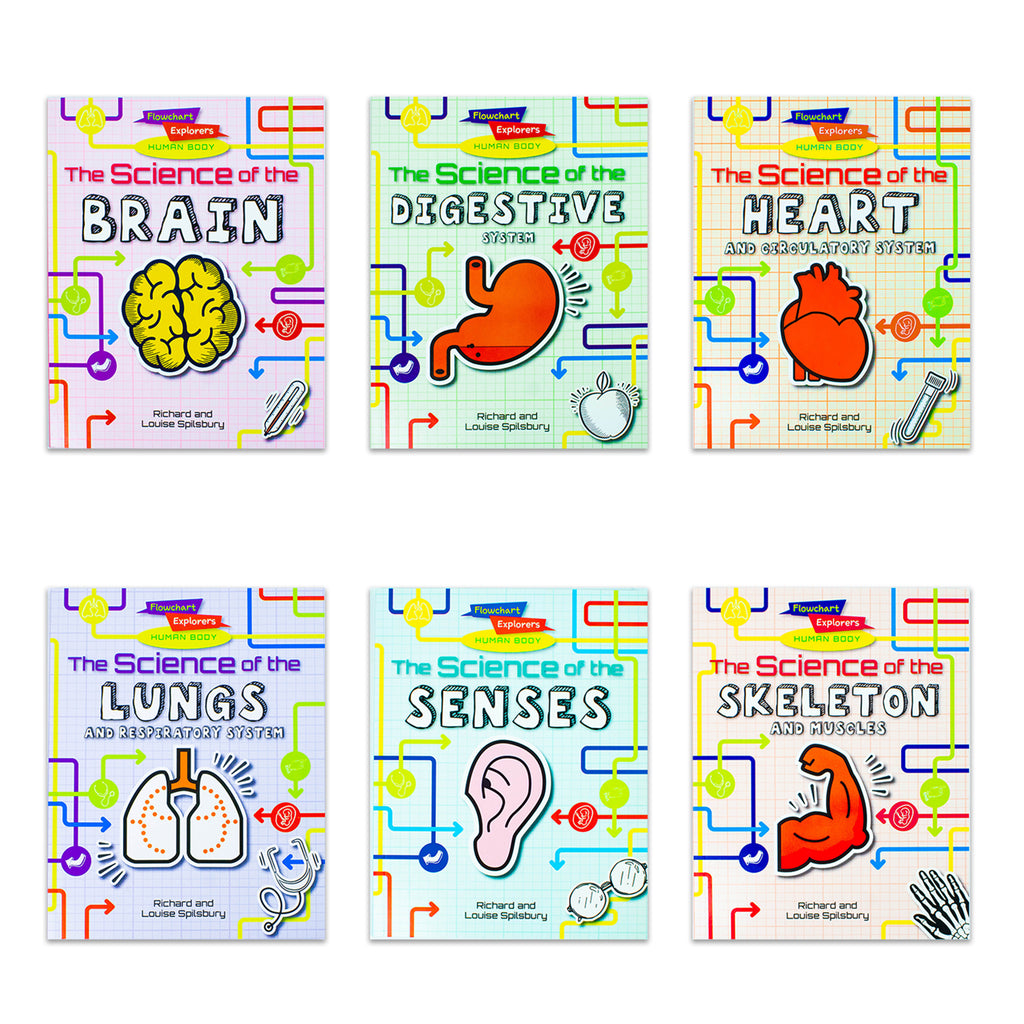 Flowchart Explorers Human Body STEM 6 Science Books Set – Lowplex Books