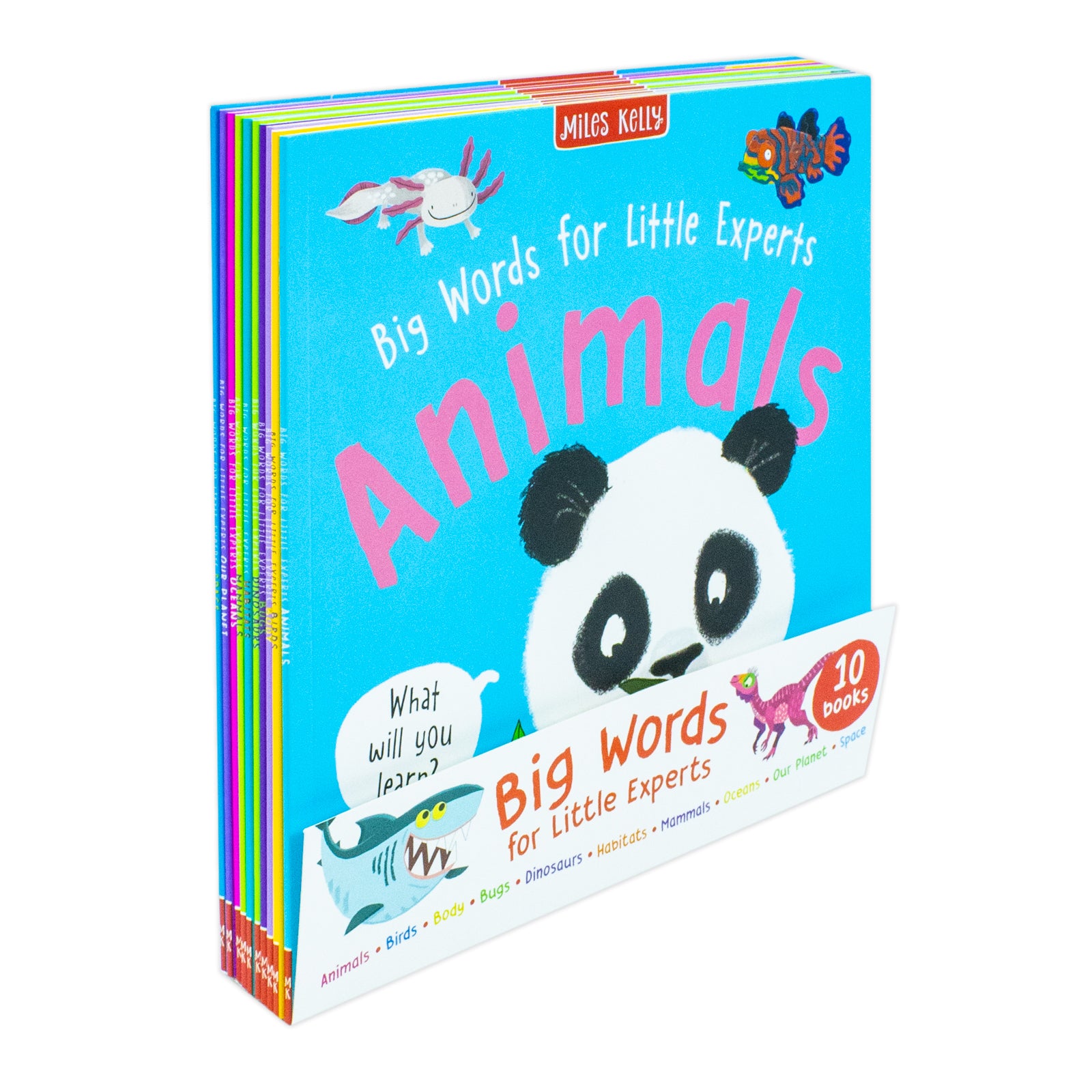 Big Words for Little Experts 10 Books Collection Set(Animals, Birds, B ...