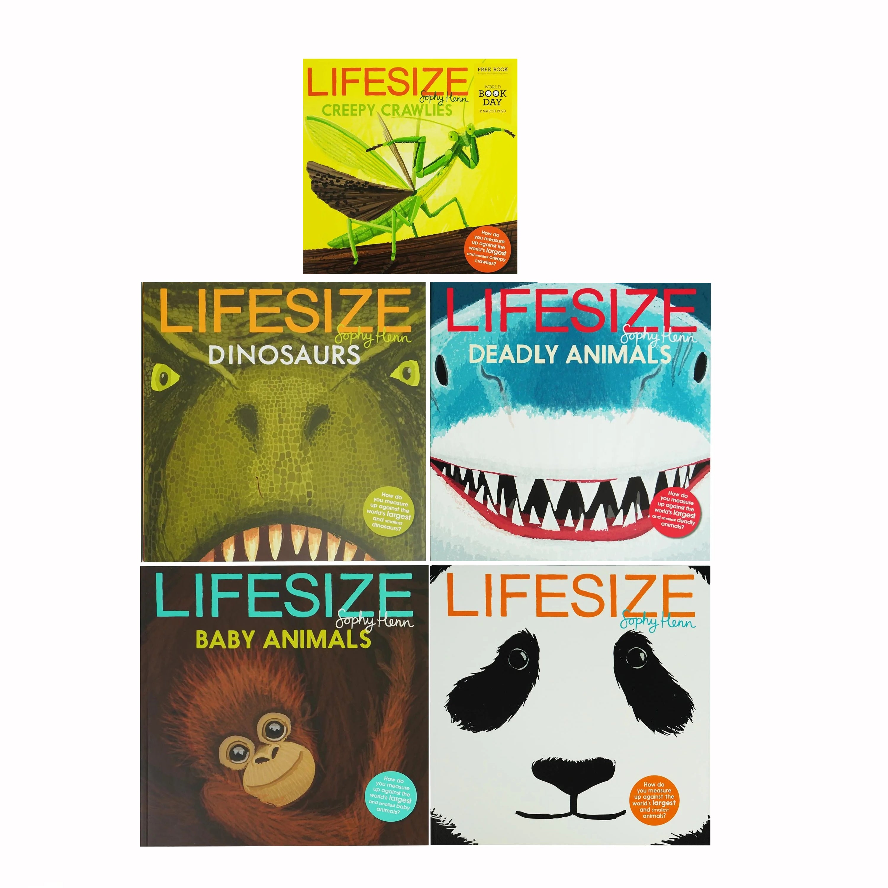 Lifesize Series with World Book Day 2023 5 Books Set – Lowplex Books