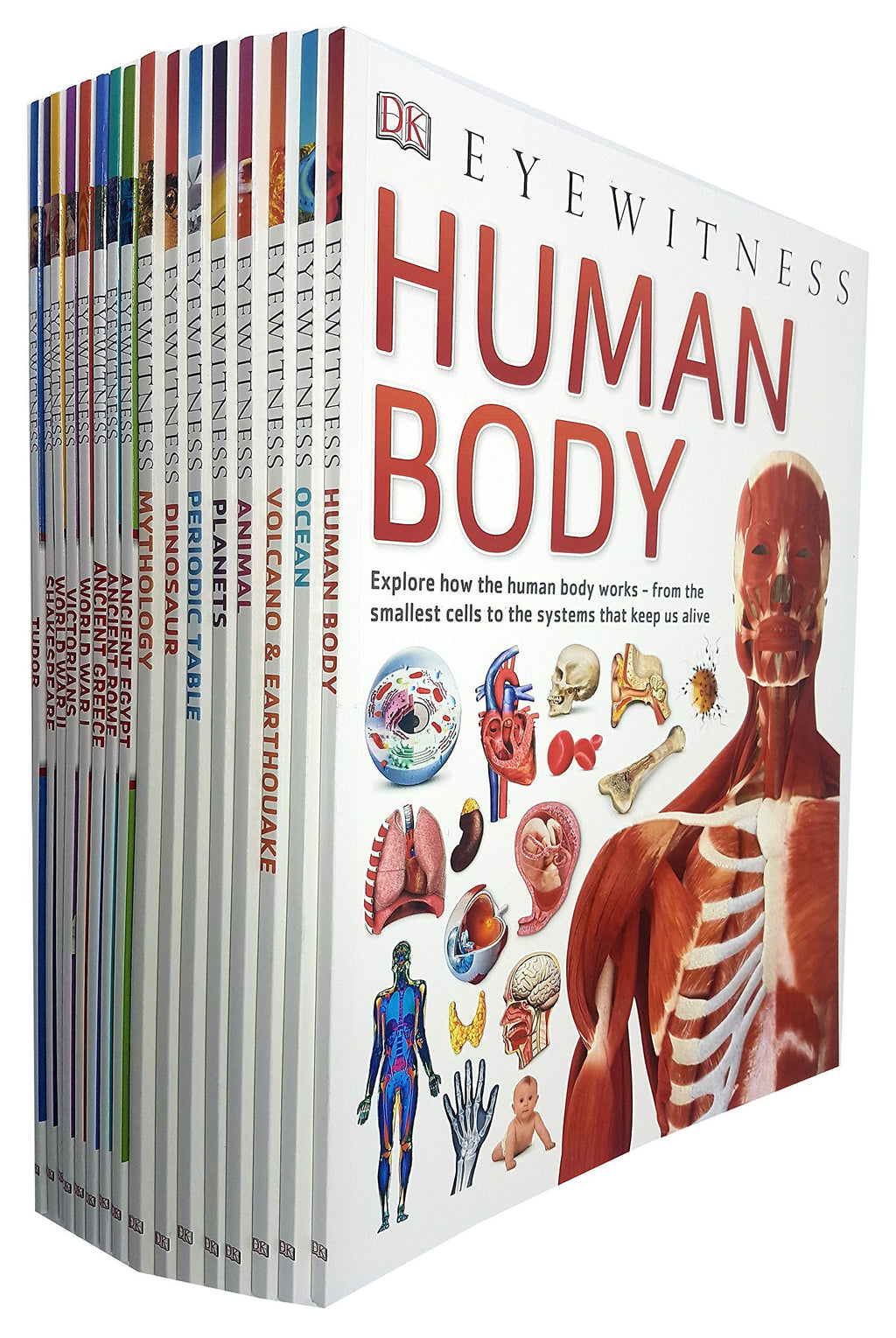 Dk Eyewitness 16 Books Set for Kids 8+ on Animals and Ancient Egypt ...