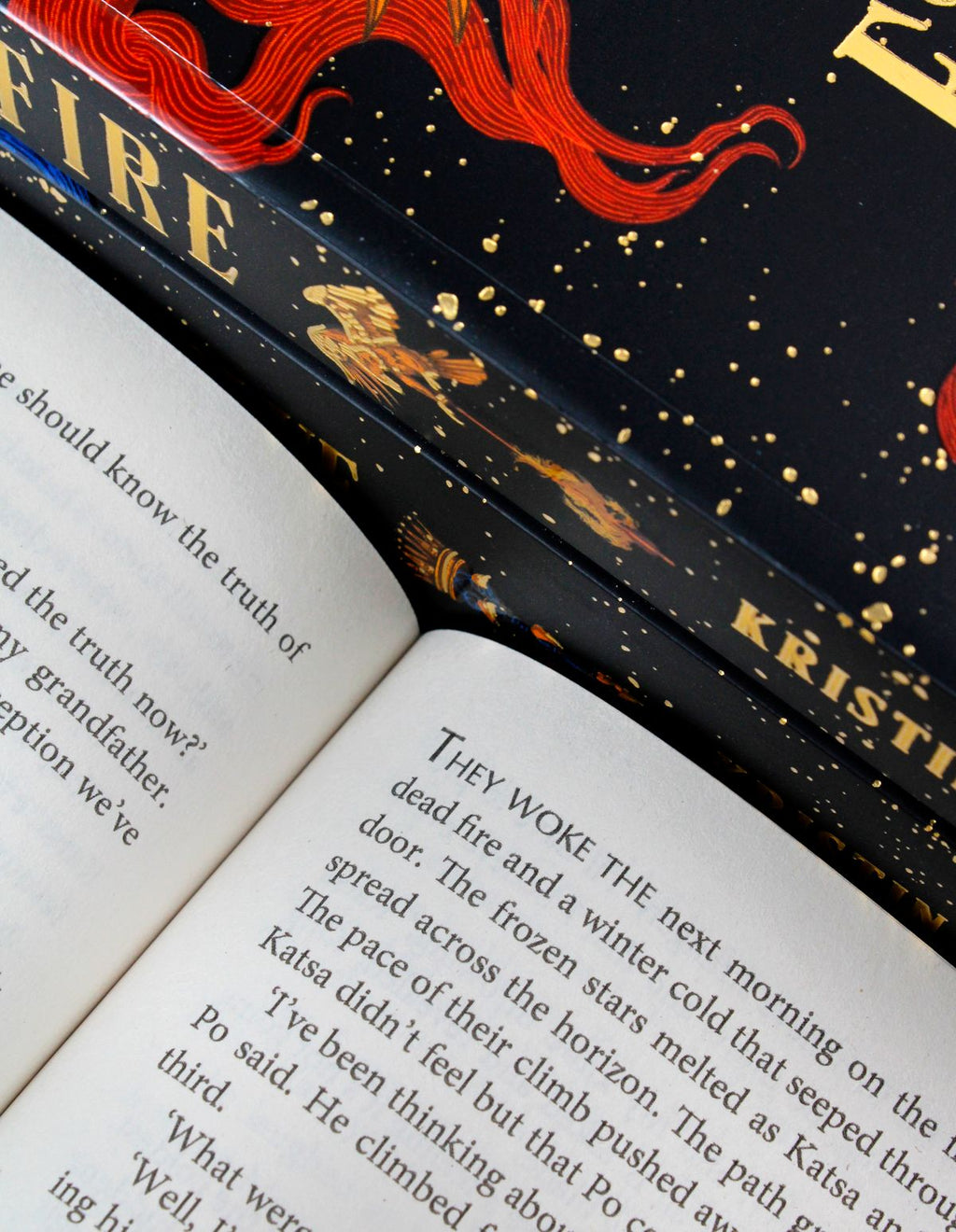 Graceling Realm Series 3 Books Complete Collection Set by Kristin Cash ...