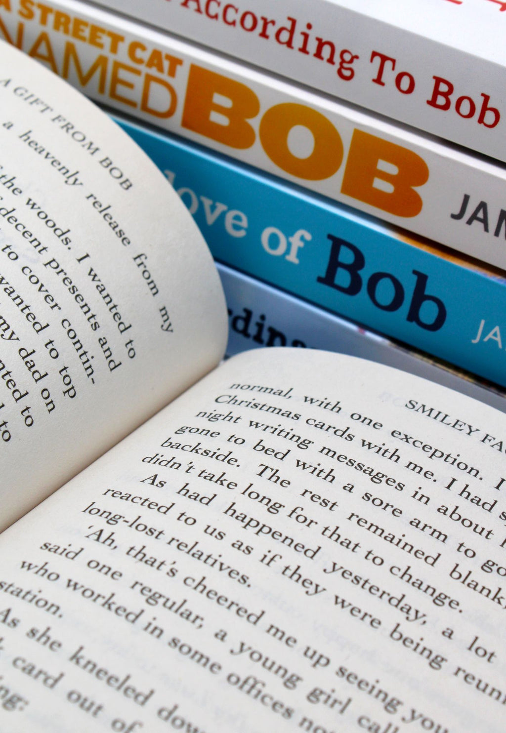 Bob The Cat Series - 5 Paperback Books for Children by James Bowen ...