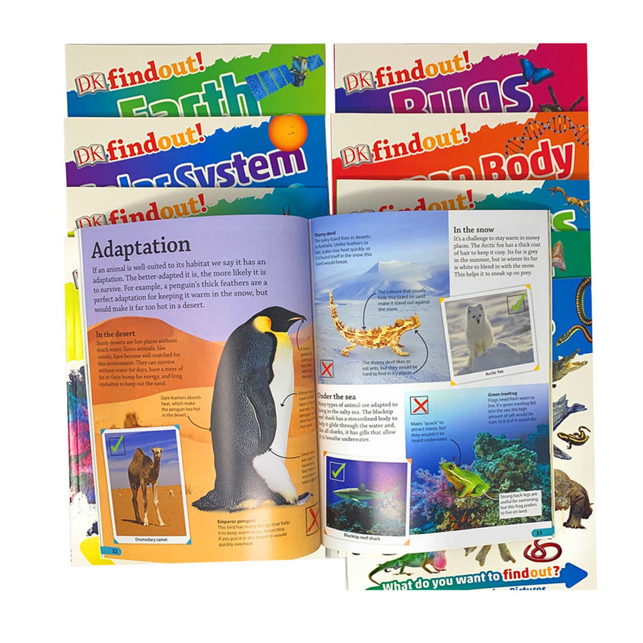 DK Find out Collection 10 Book Set Childrens Pack Dinosaurs, Bugs, Sha ...