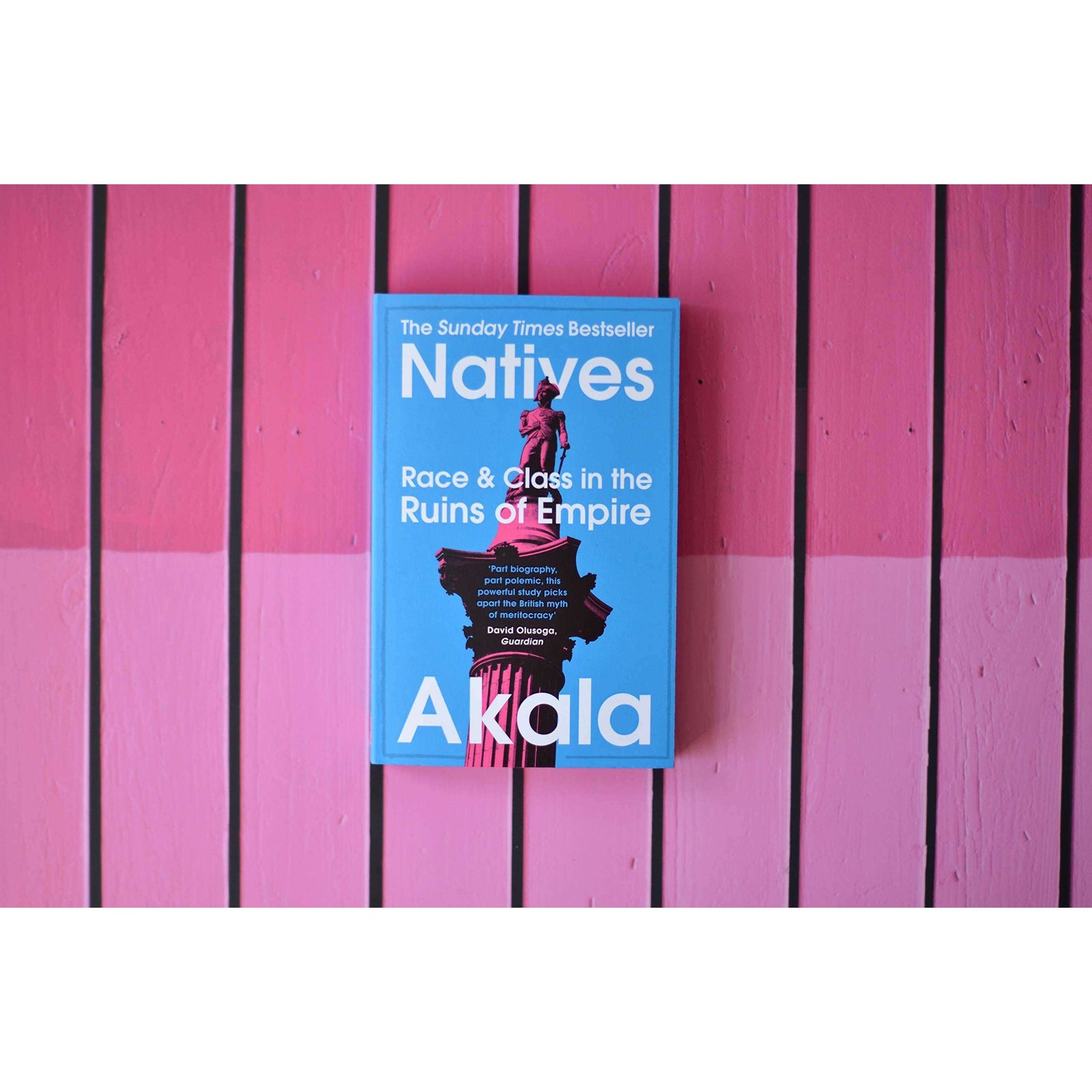 Natives: Race and Class in the Ruins of Empire - Akala's Hardback Book ...