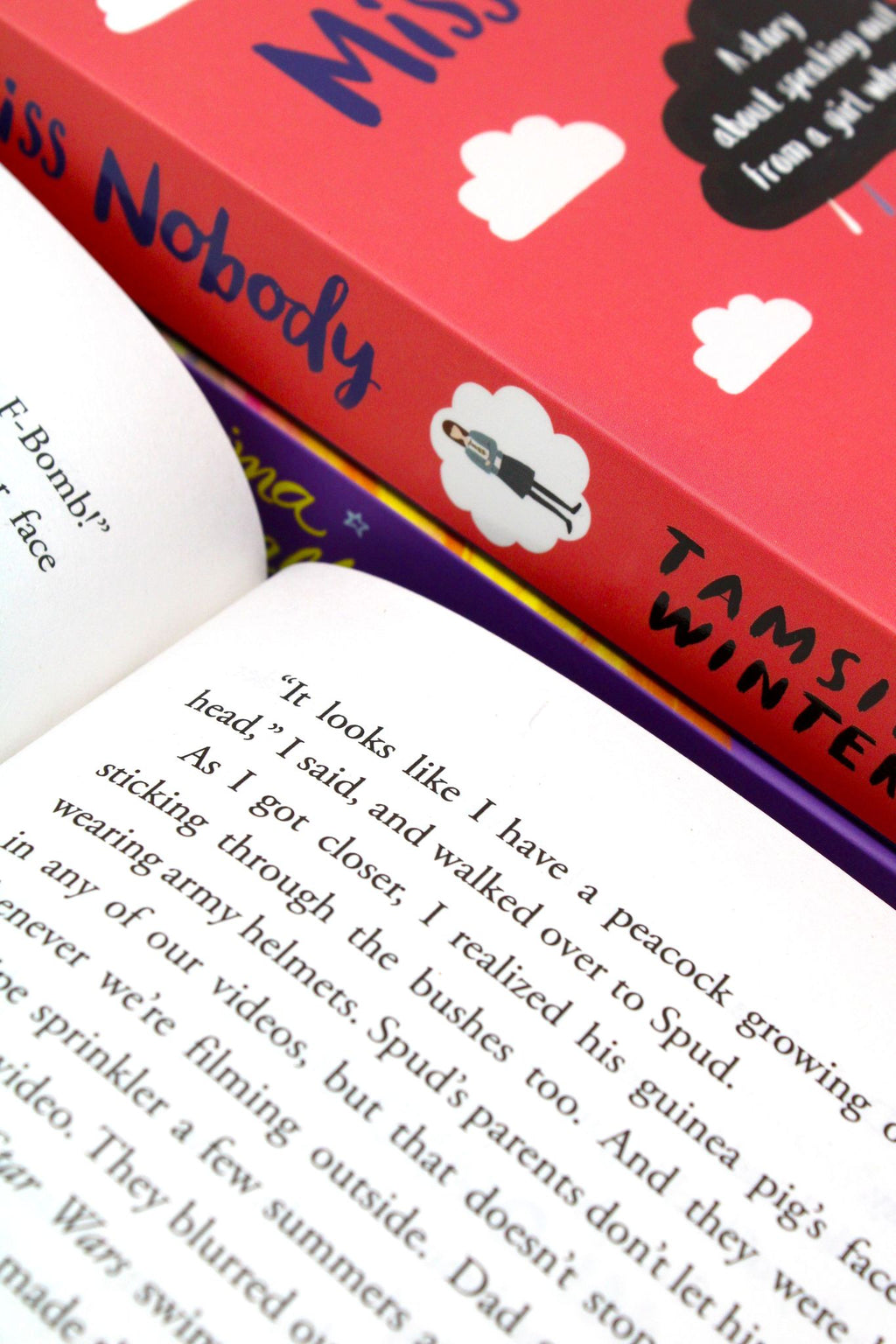 Tamsin Winter Collection 3 Books Set(Being Miss Nobody,Jemima Small Ve ...