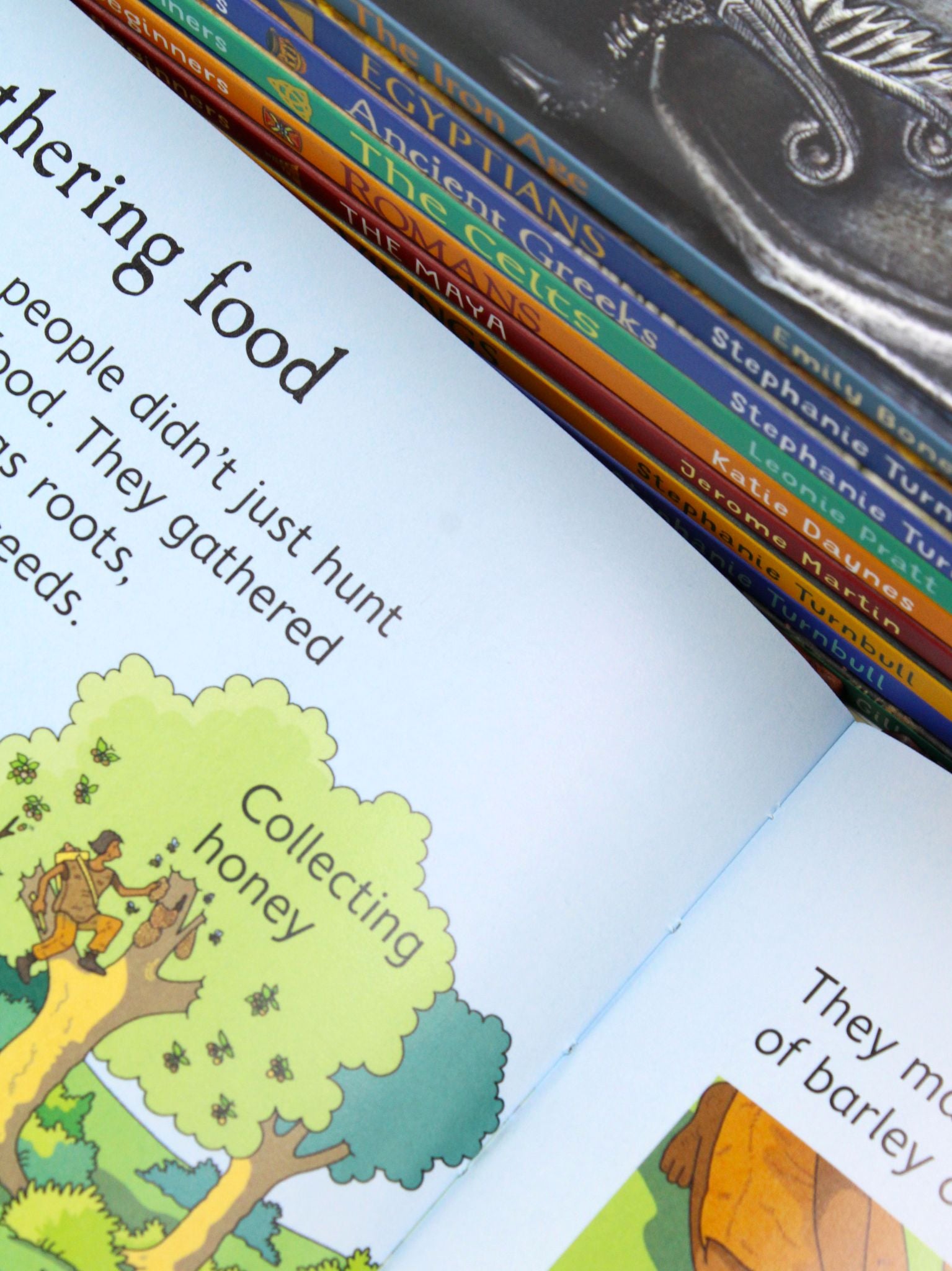 Usborne Beginners History 10 Books Collection Box Set (Stone Age, Iron ...