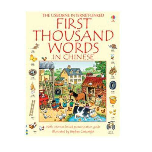 Usborne My First Thousand Words in Chinese Book – Lowplex Books